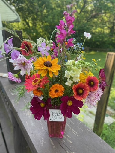 Small Business Spotlight: Gooseberry Bridge Farm near Rogersville - The ...
