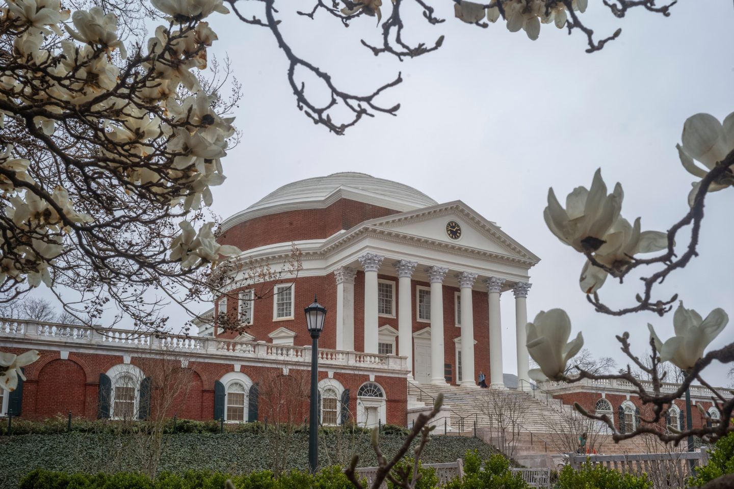 Virginia colleges can get up to $25 million to start up lab school ...