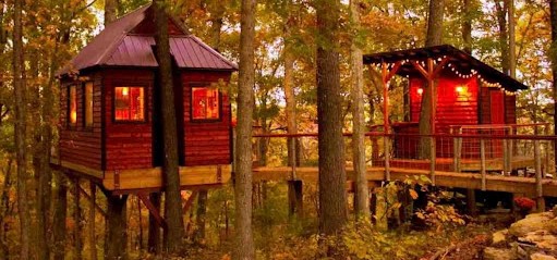 Real treehouses come to life as Airbnb rentals in Southwest Missouri ...