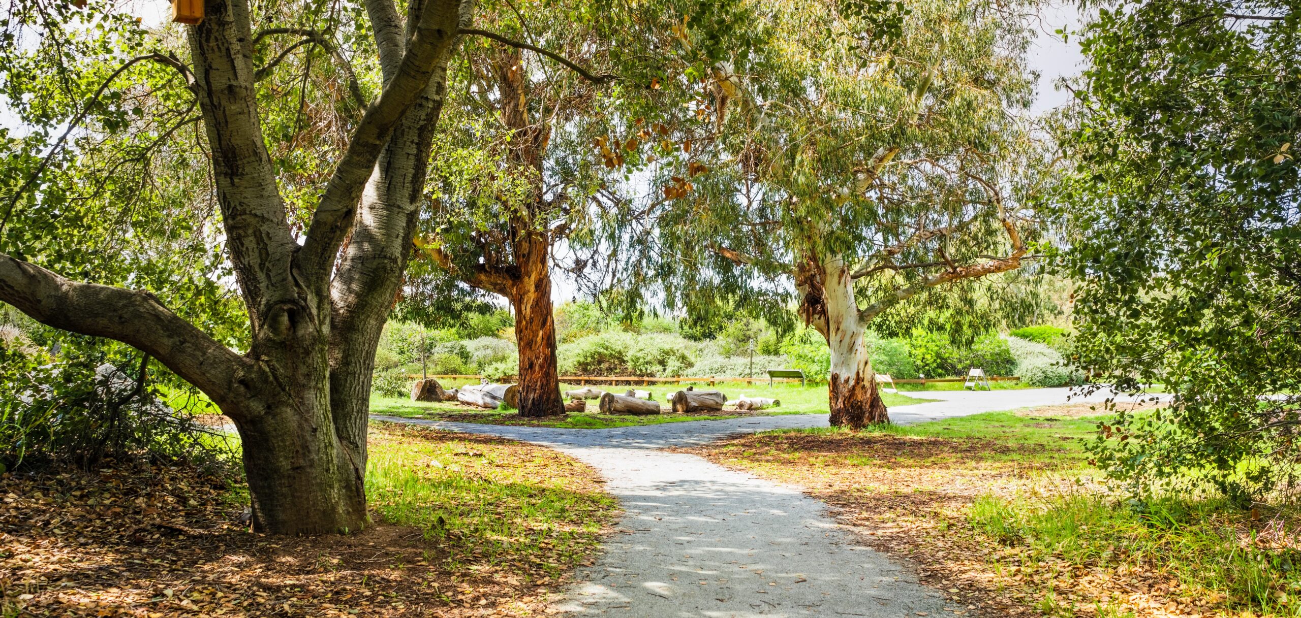 Biden approves $1 billion in grants to combat 'environmental injustice ...