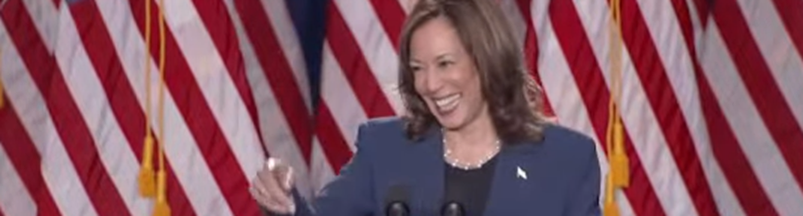 FACT CHECK: Harris was Biden’s second 'border czar,' despite recent ...