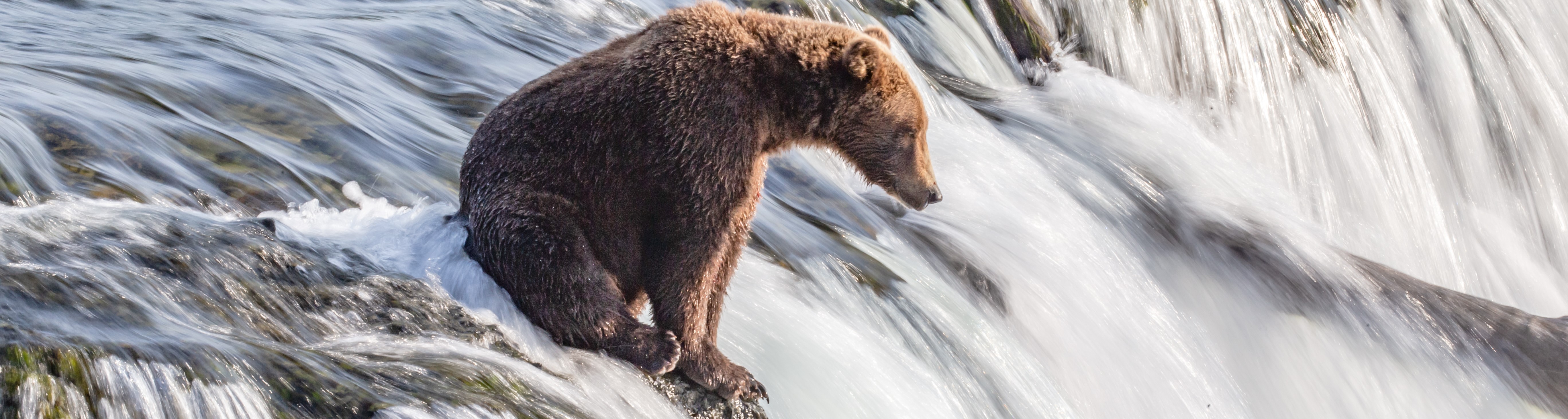 Fear of US recession drives global market turmoil - The HeartlanderThe ...