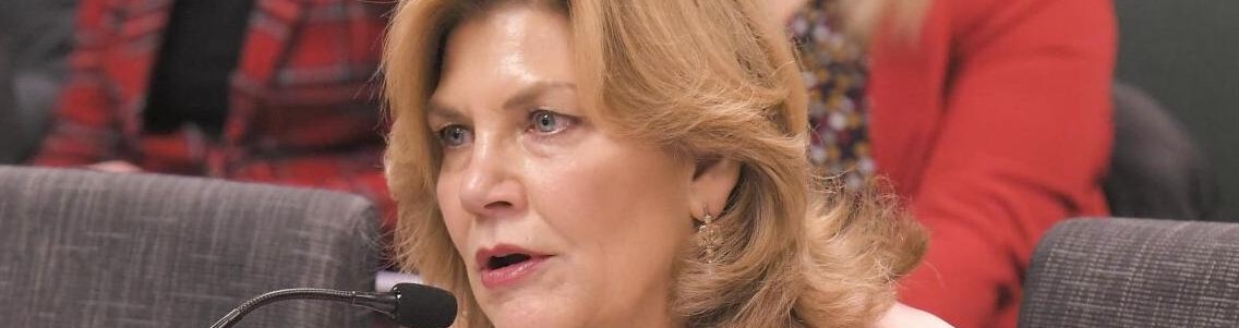 Brenda Shields running for state Senate seat while husband’s org ...